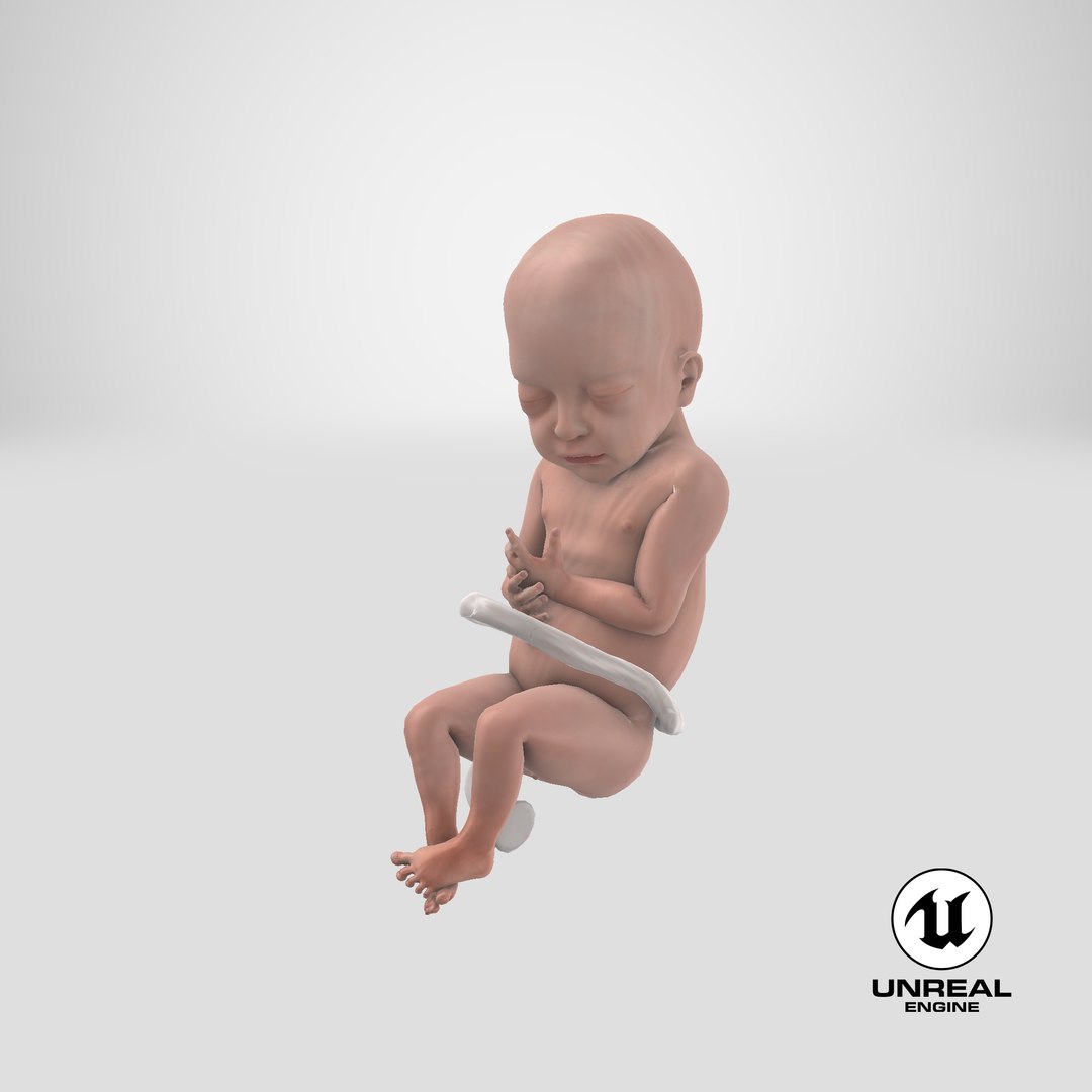 Baby boy 28 weeks 3D - TurboSquid 1657901