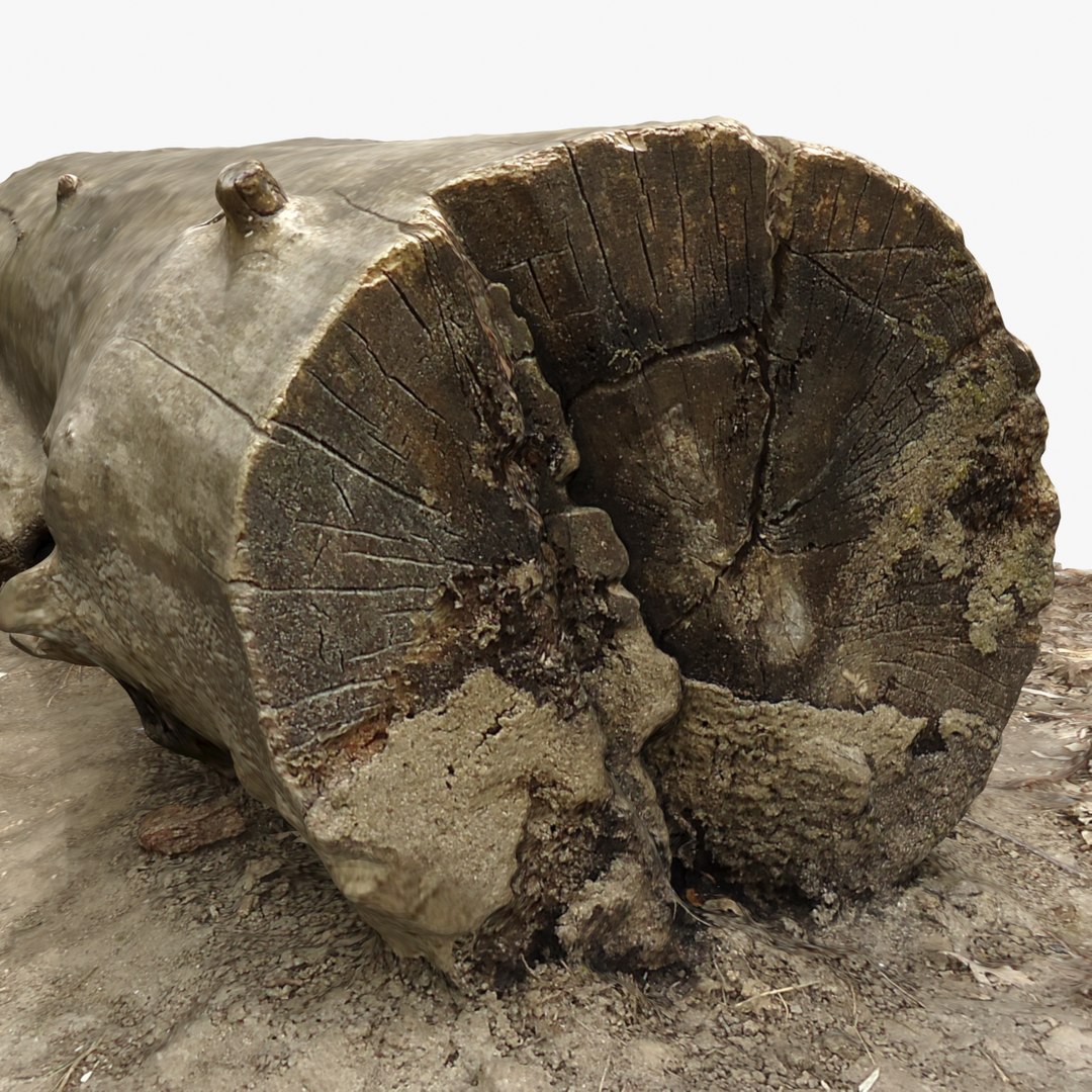 3d Model Tree Log 4