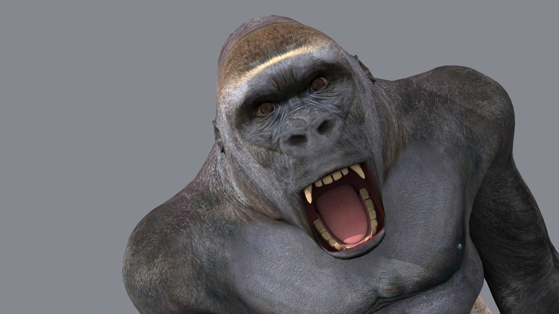 3D Model King Kong Silverback Gorilla 8K- 3d Animated - TurboSquid 2148285