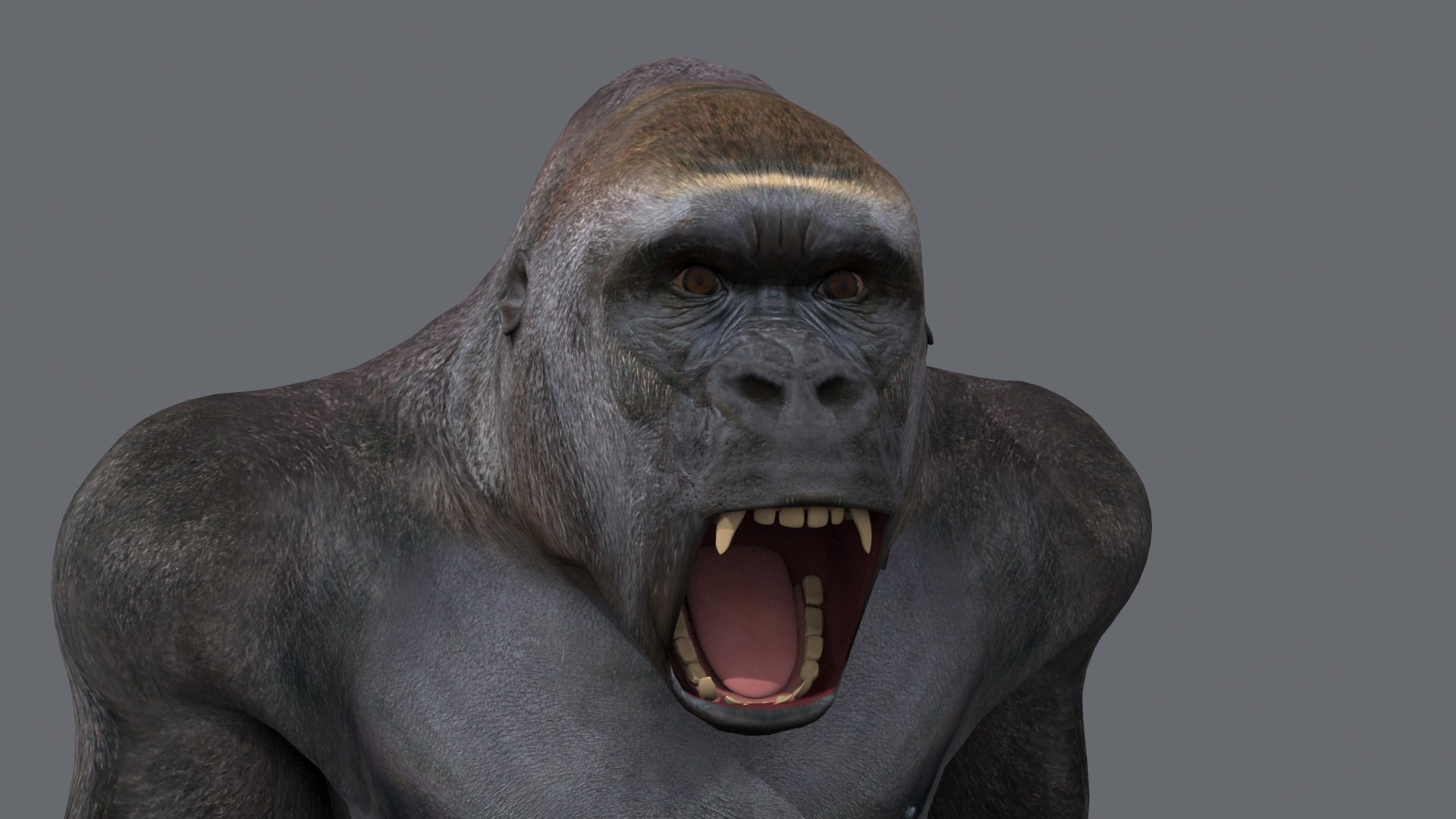 3D model King Kong Silverback Gorilla 8K- 3d animated - TurboSquid 2148285