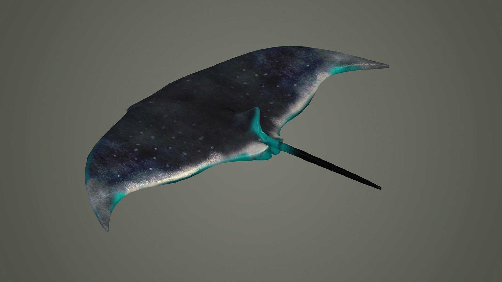 3D Model Manta Mantaray Mantas Devil Fish Shark Giant Reef - TurboSquid ...