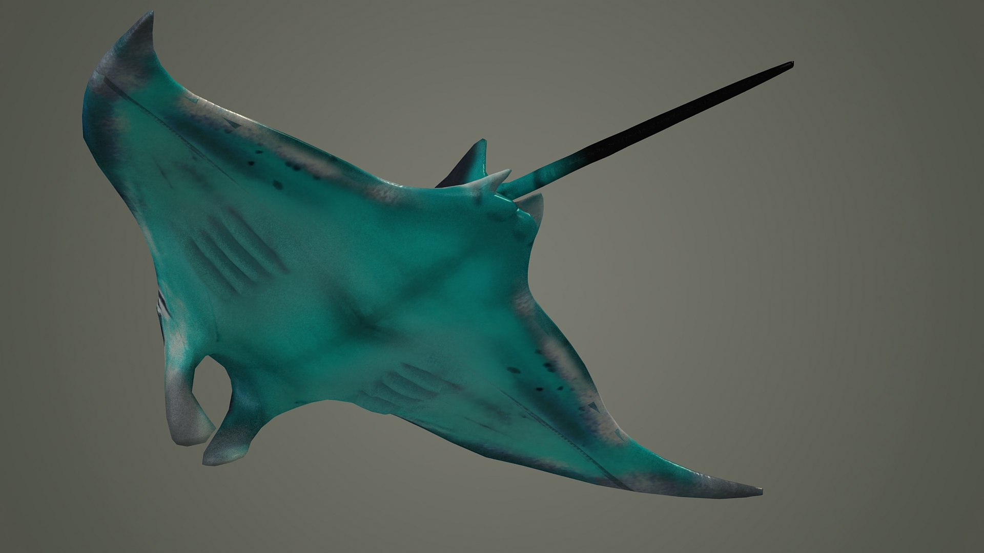 3D Model Manta Mantaray Mantas Devil Fish Shark Giant Reef - TurboSquid ...