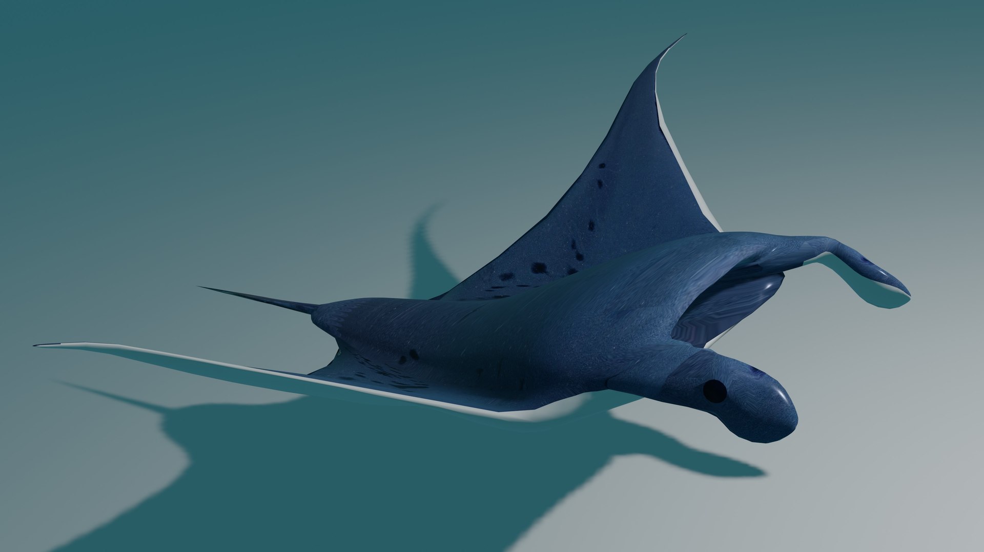 3D Model Manta Ray - TurboSquid 2245812