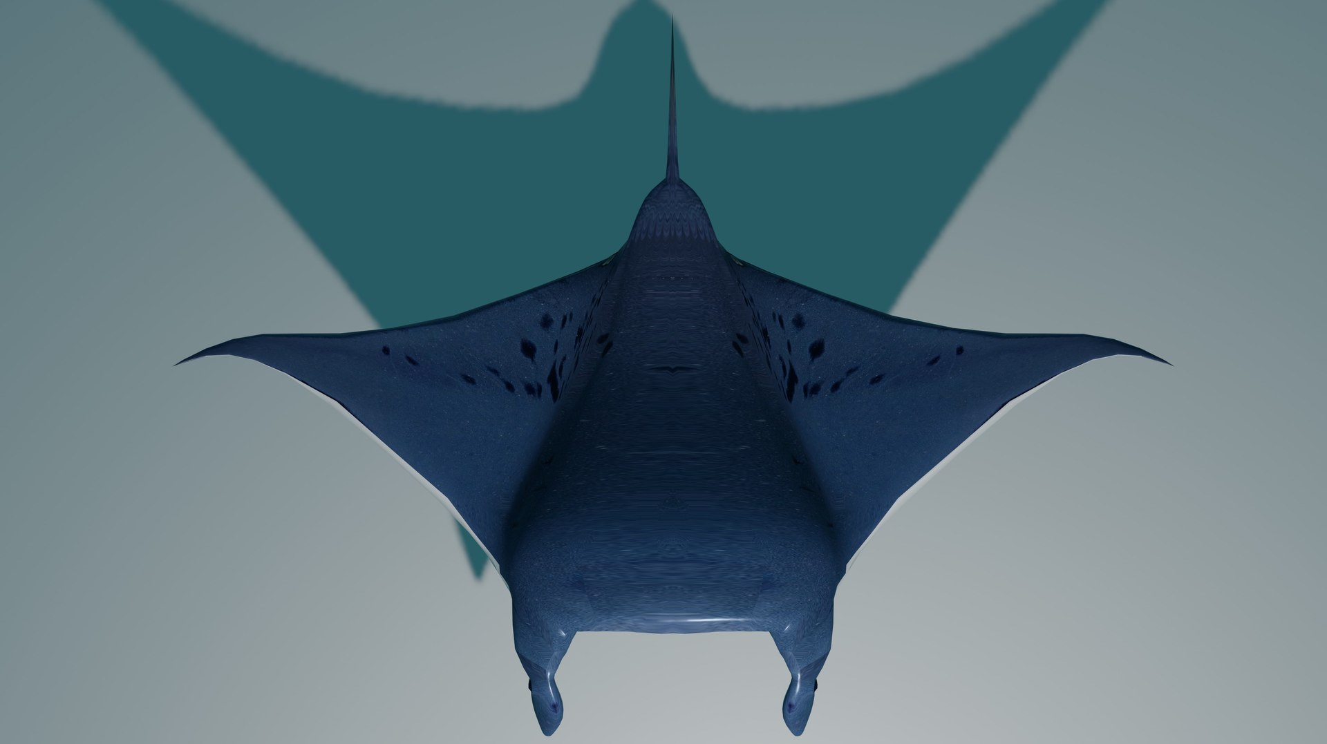 3D Model Manta Ray - TurboSquid 2245812