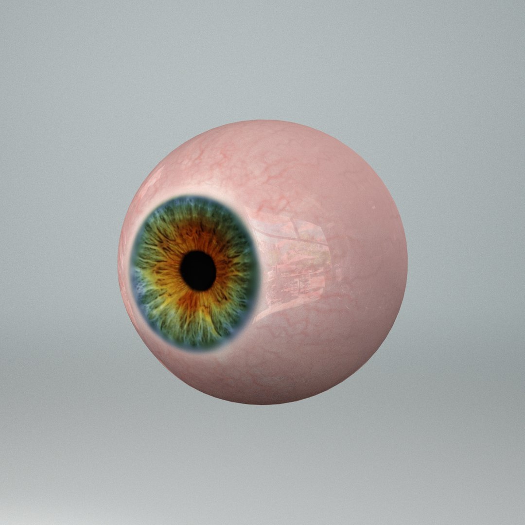Human Eye 30 Sets 3d 3ds