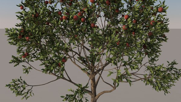 3D apple tree model - TurboSquid 1473699