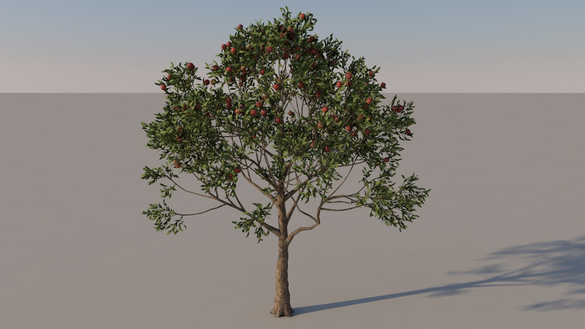 3D apple tree model - TurboSquid 1473699
