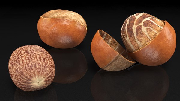 3D Opened Nuts Collection - TurboSquid 1755360