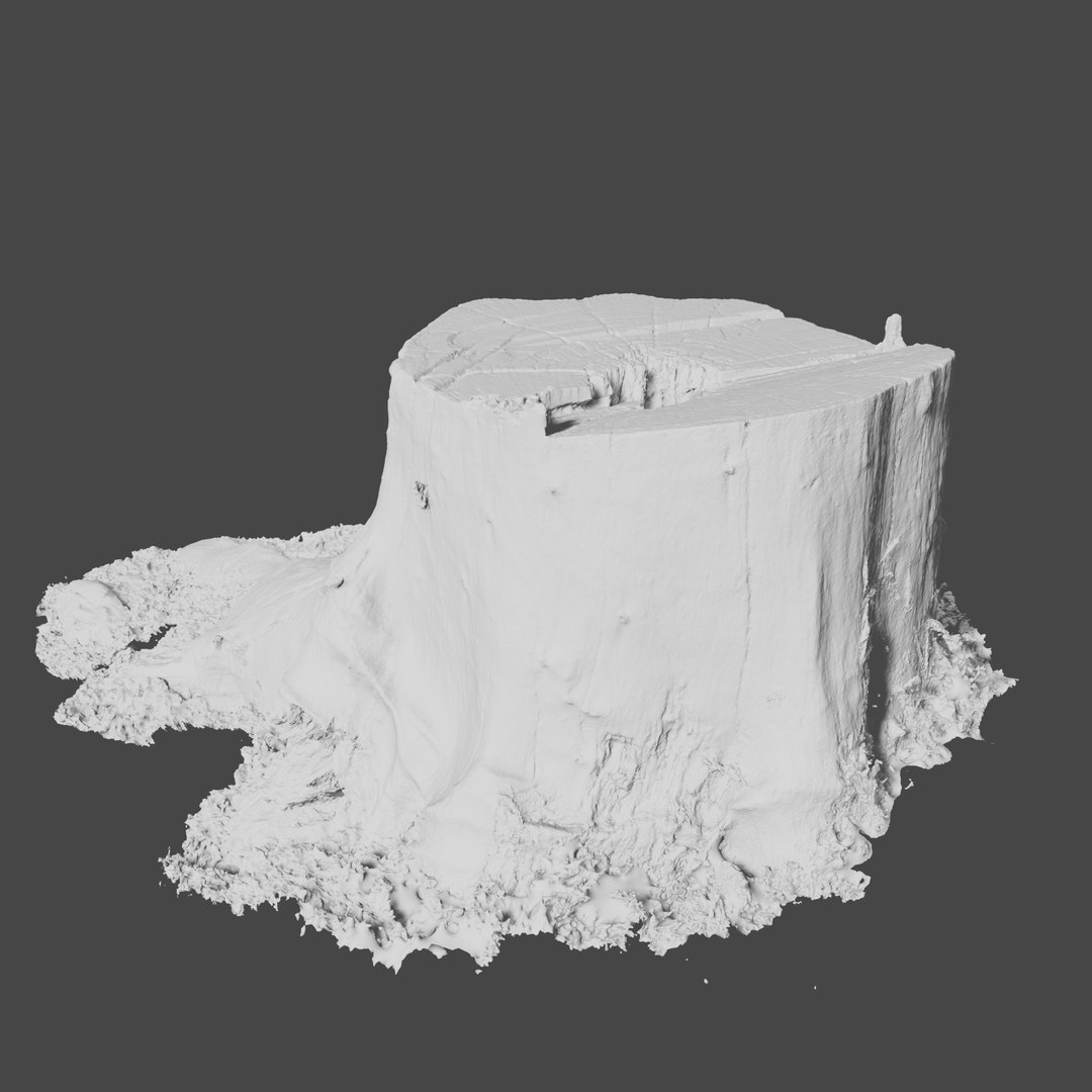 Treetrunkbase 3D model - TurboSquid 1921325