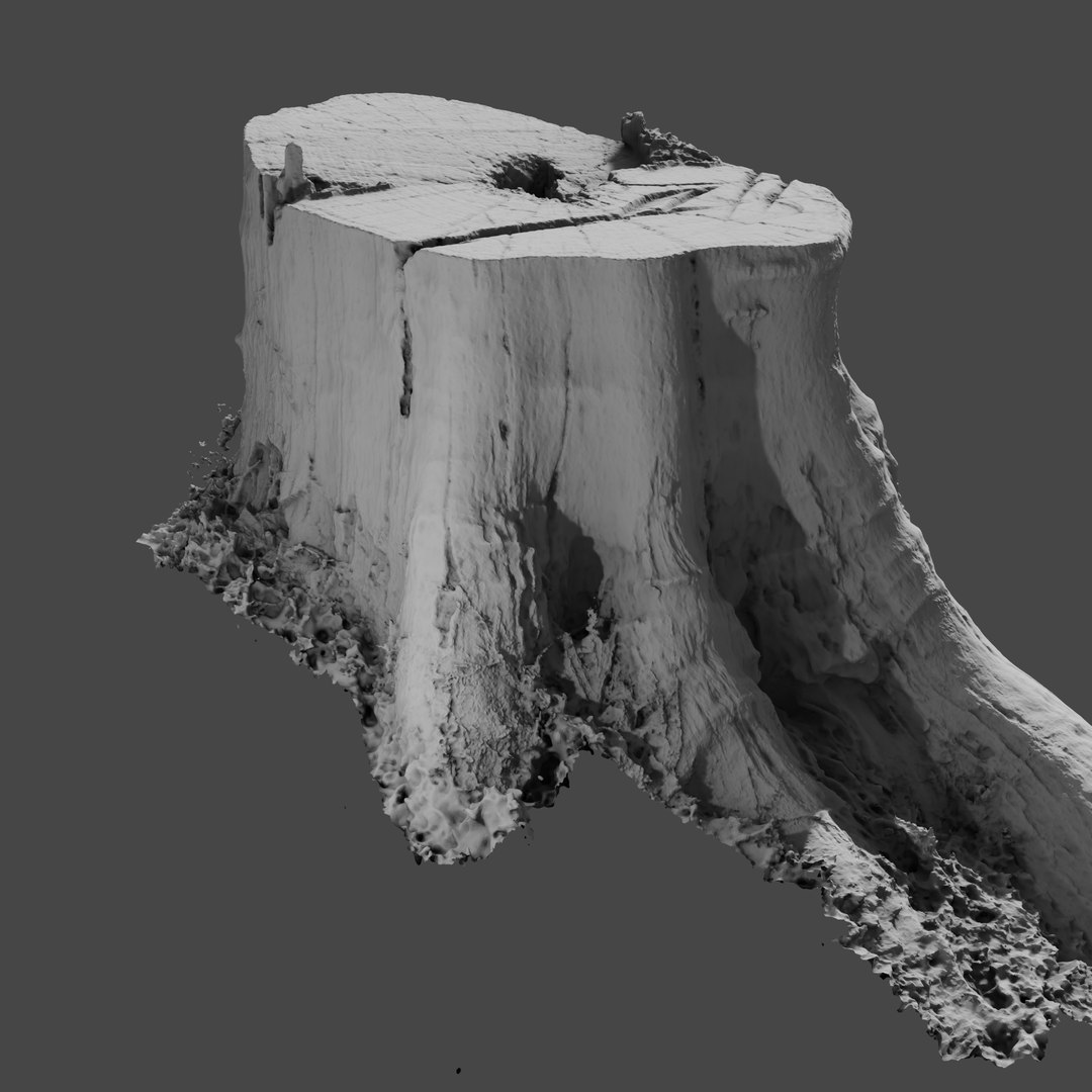 Treetrunkbase 3D model - TurboSquid 1921325