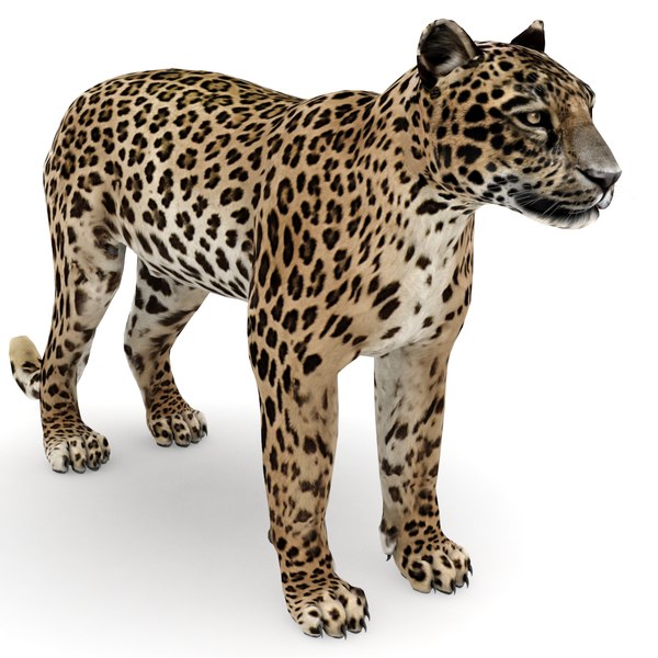 3D modeled leopard model - TurboSquid 1522474