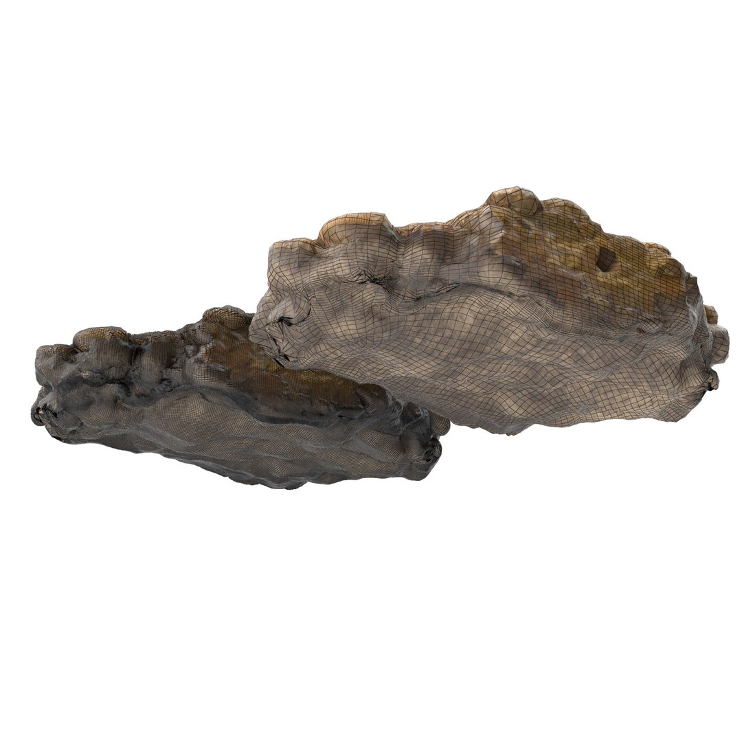 3D Fossil Model - TurboSquid 1255288
