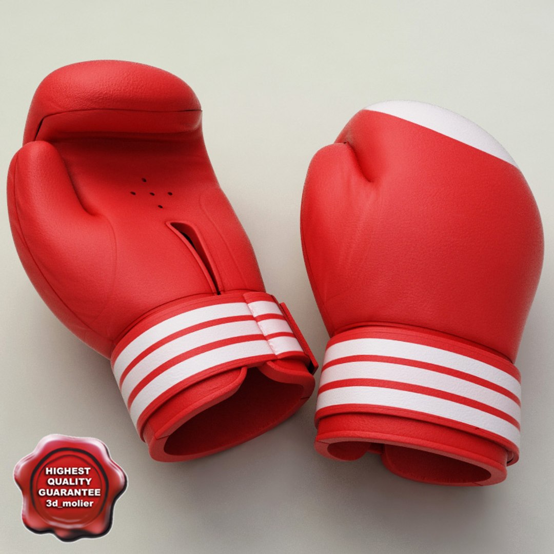 Boxing Set Training 3d Max