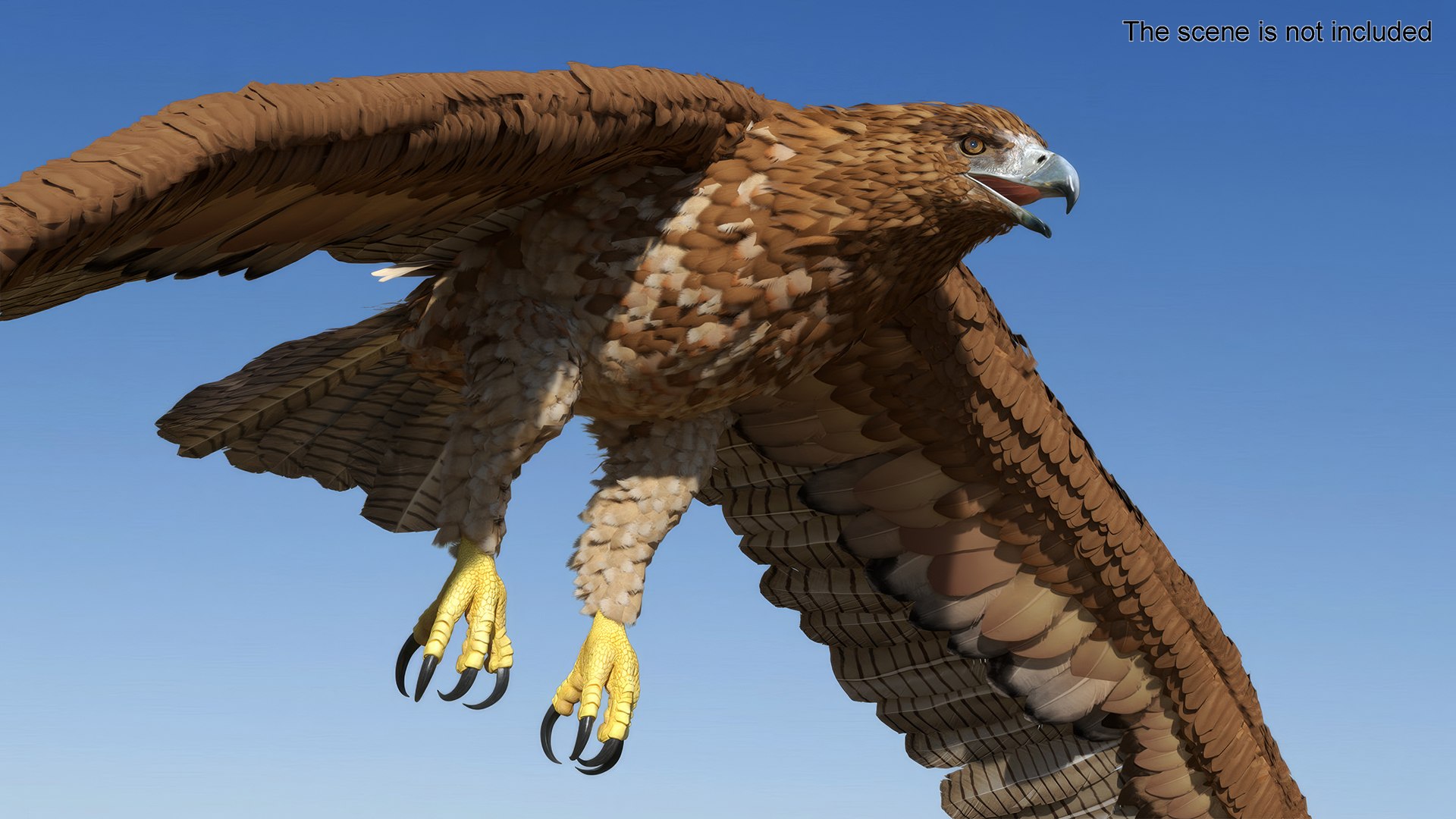 Realistic Gurney Eagle Rigged 3D Model - TurboSquid 2263568