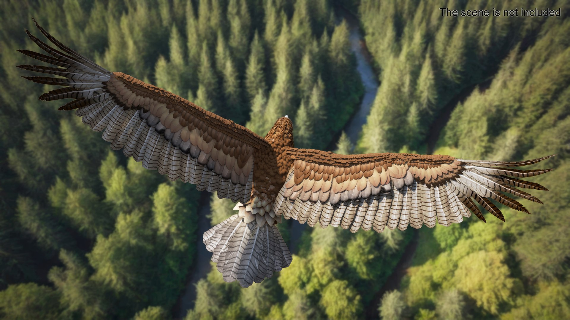 Realistic Gurney Eagle Rigged 3D Model - TurboSquid 2263568