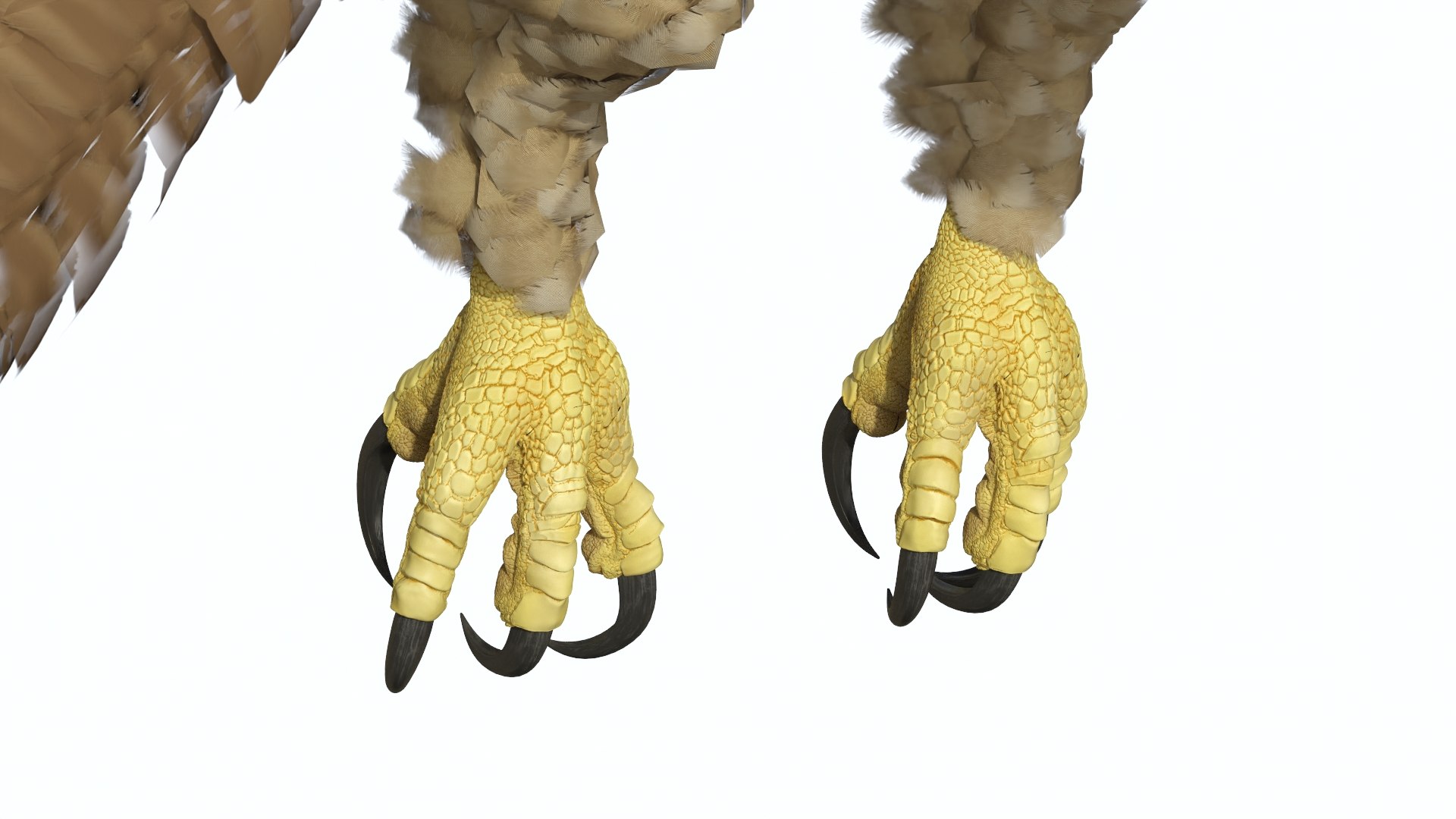 Realistic Gurney Eagle Rigged 3D Model - TurboSquid 2263568