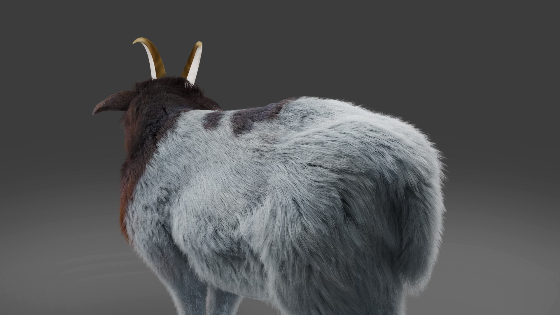 Fur Goat 03 Rigged And Animation In Blender 3D Model - TurboSquid 2005605