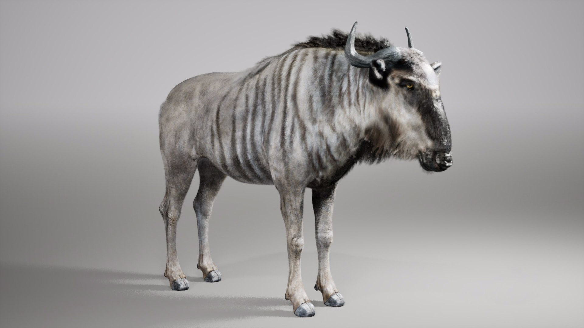 Wildebeest RIG UNREAL Project 3D Model - TurboSquid 2293153
