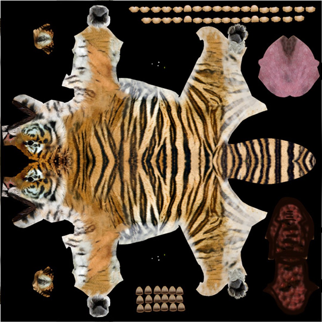 3d Model Tiger