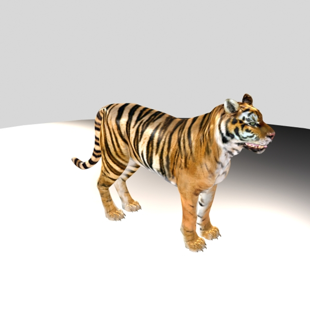 3d Model Tiger
