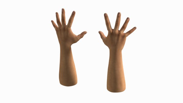modelo 3d Manos humanas realistas - TurboSquid 2325122