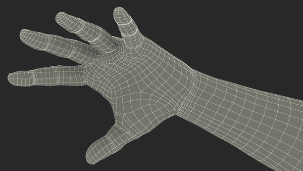 modelo 3d Manos humanas realistas - TurboSquid 2325122