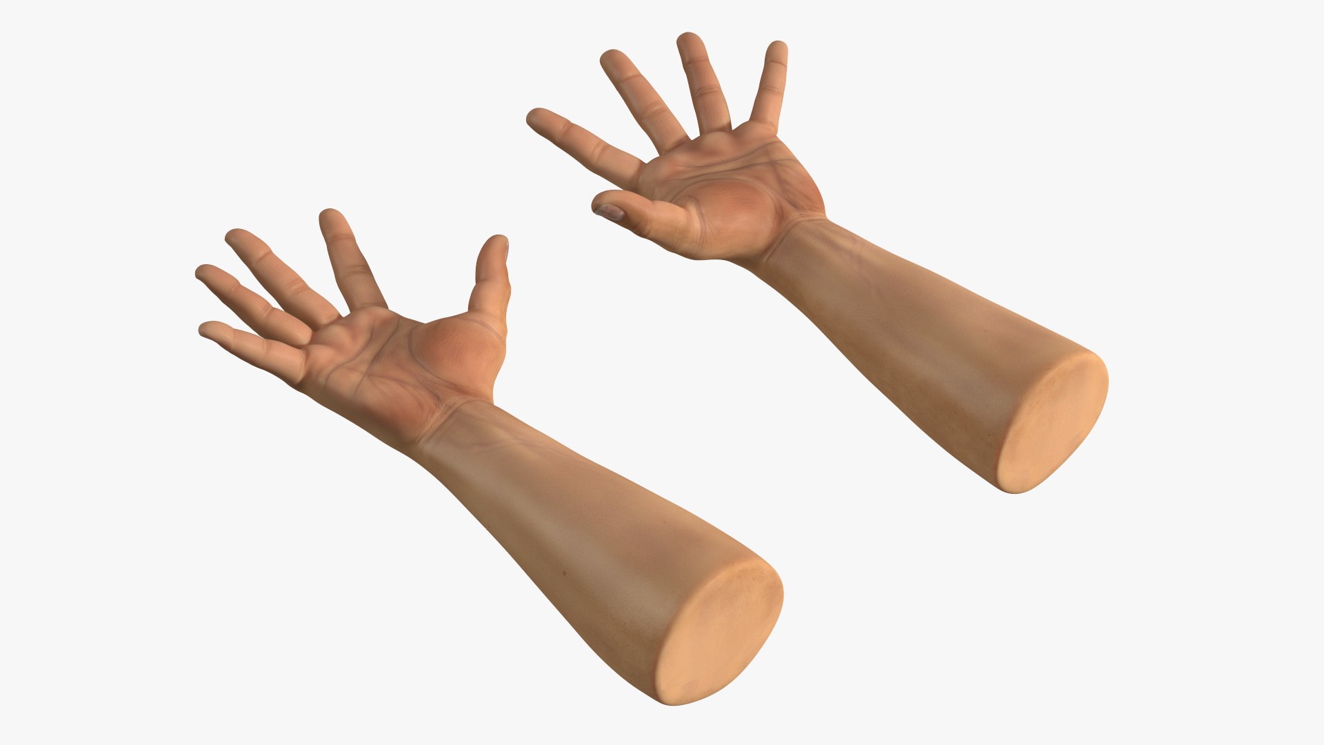 3D Realistic Human Hands Model - TurboSquid 2325122
