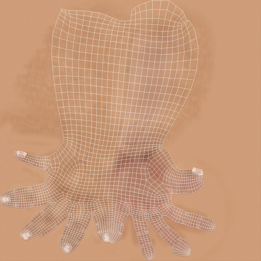 3D Realistic Human Hands Model - TurboSquid 2325122