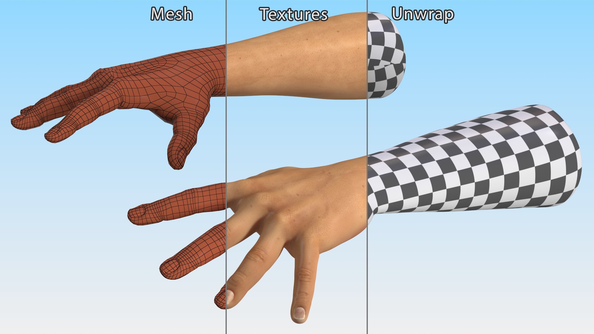 3D Realistic Human Hands Model - TurboSquid 2325122