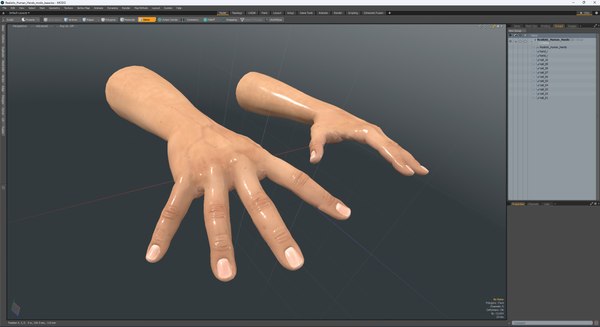 modelo 3d Manos humanas realistas - TurboSquid 2325122