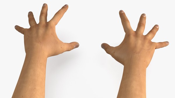 modelo 3d Manos humanas realistas - TurboSquid 2325122