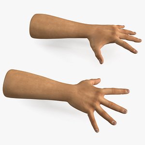Free 3D Hand Models - Available For Download On TurboSquid