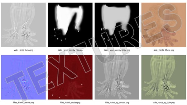 modelo 3d Manos humanas realistas - TurboSquid 2325122