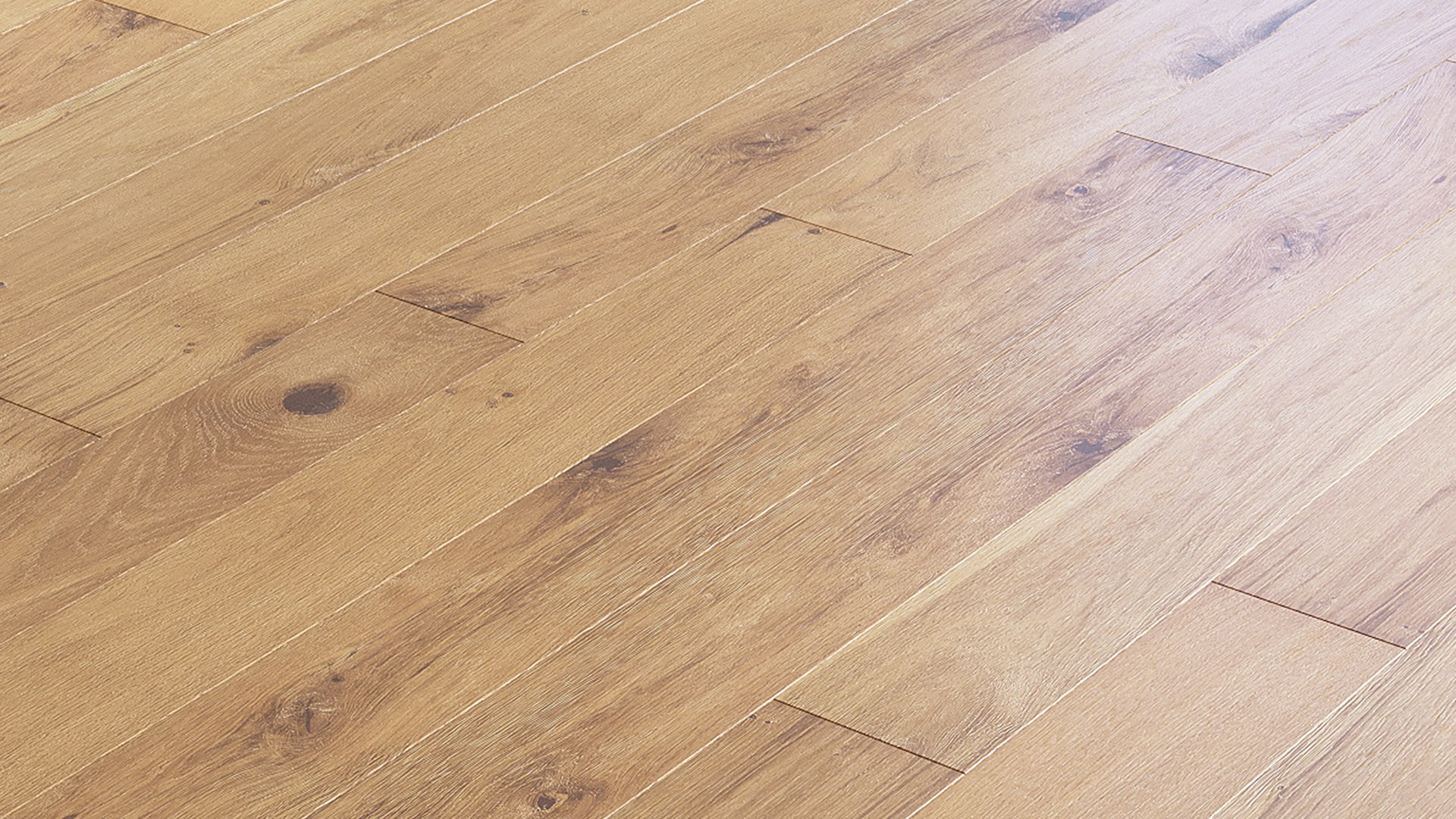 3D Oak Husk Model - TurboSquid 2252328