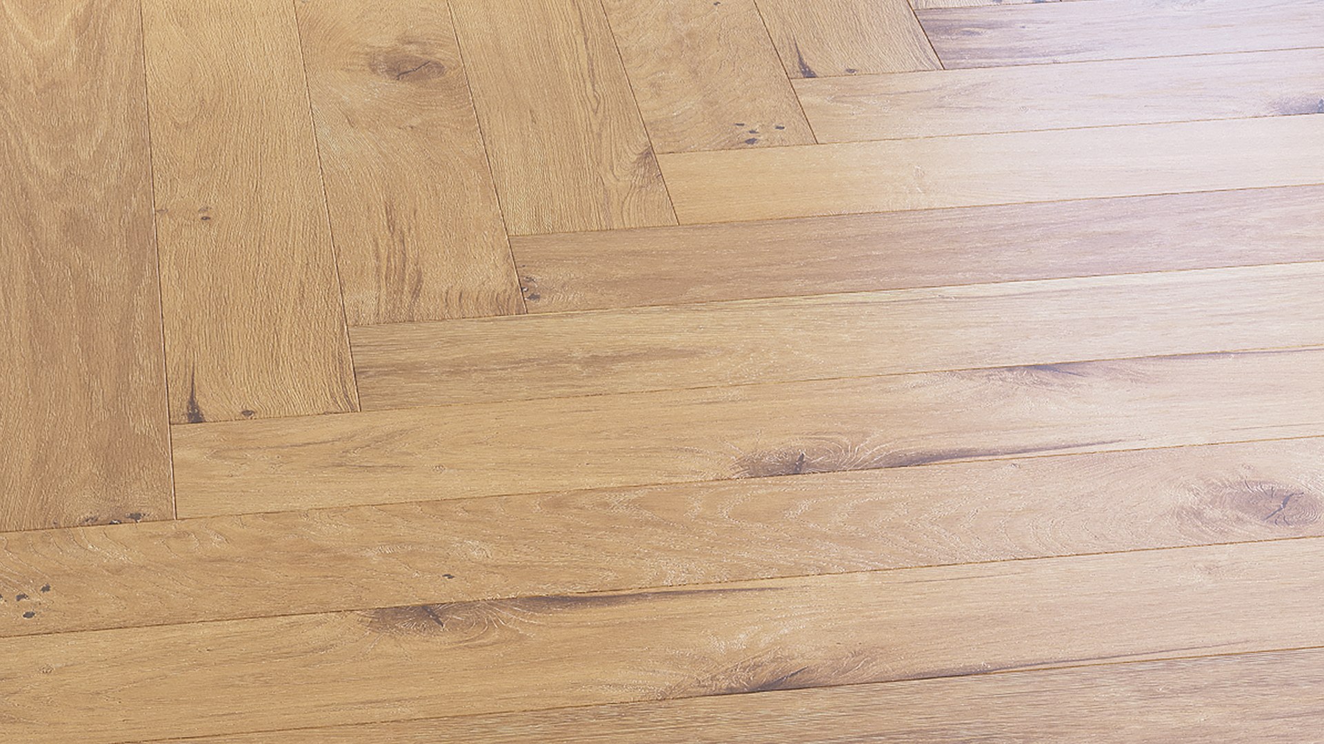 3D Oak Husk Model - TurboSquid 2252328