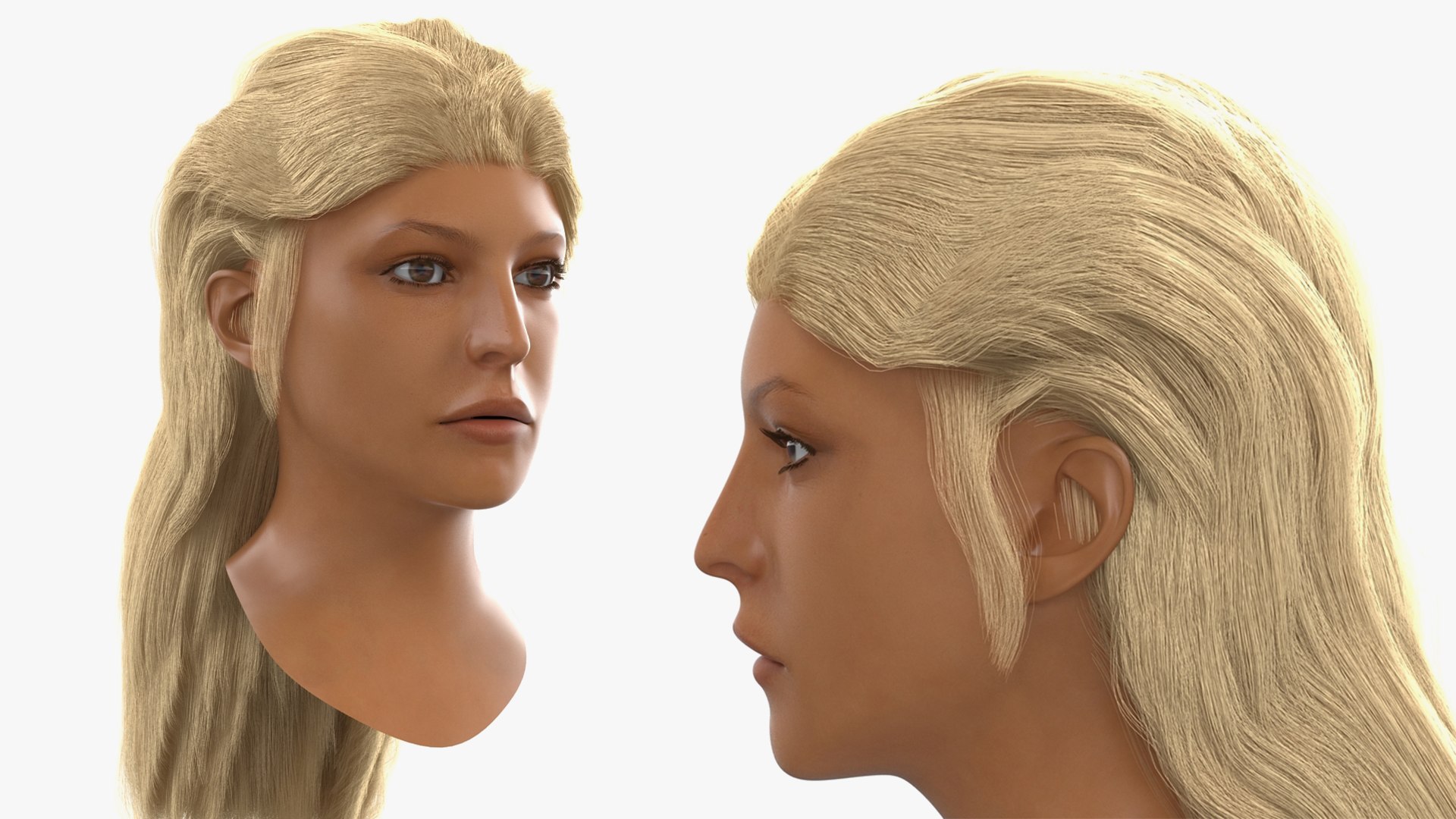 Female Heads Collection 3 model - TurboSquid 2000684