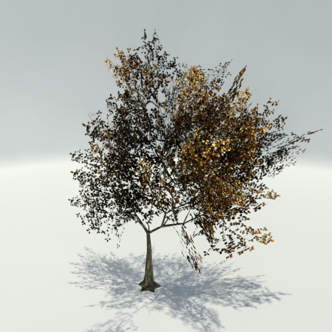 3d Ready Trees Autumn