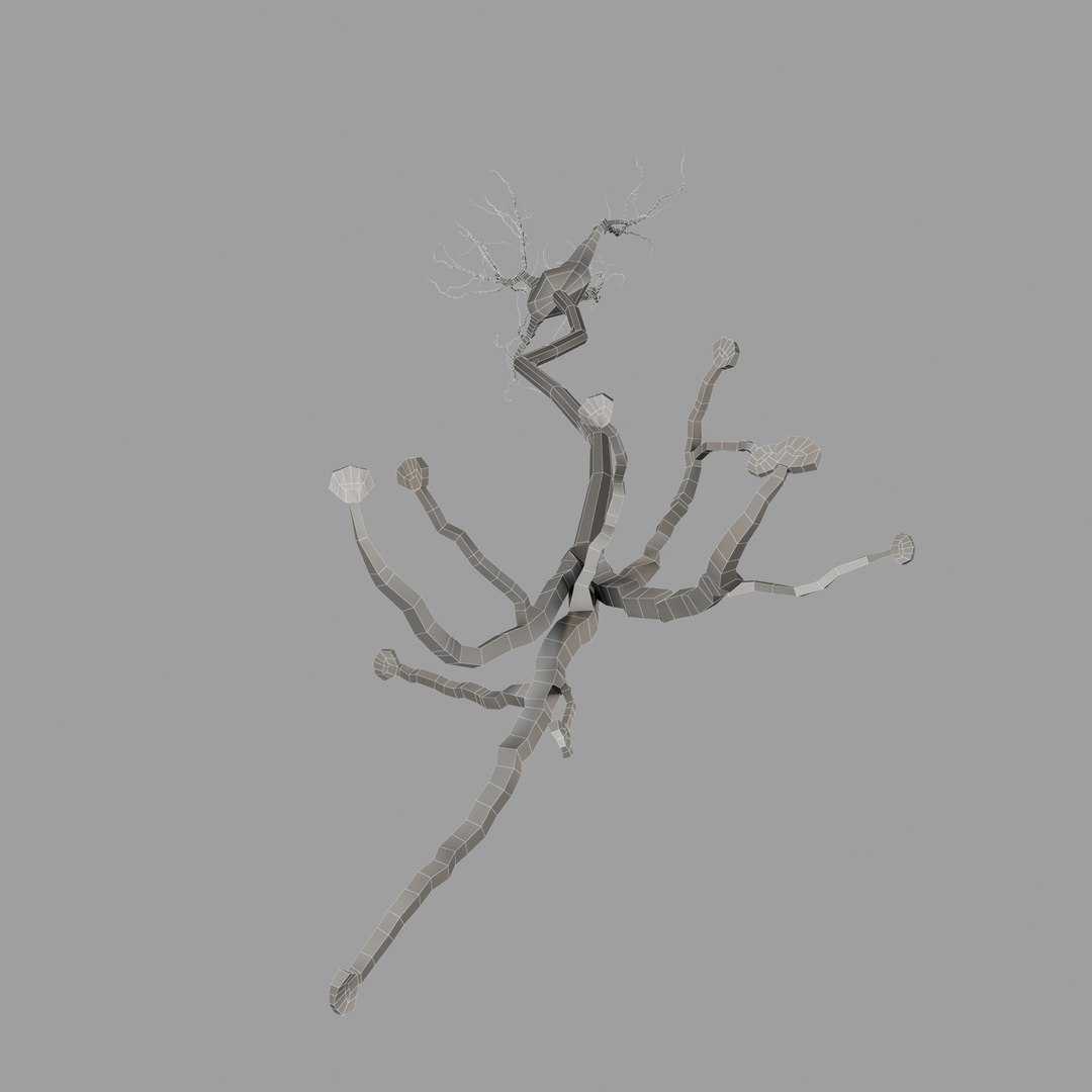3D multipolar interneuron model - TurboSquid 1160900