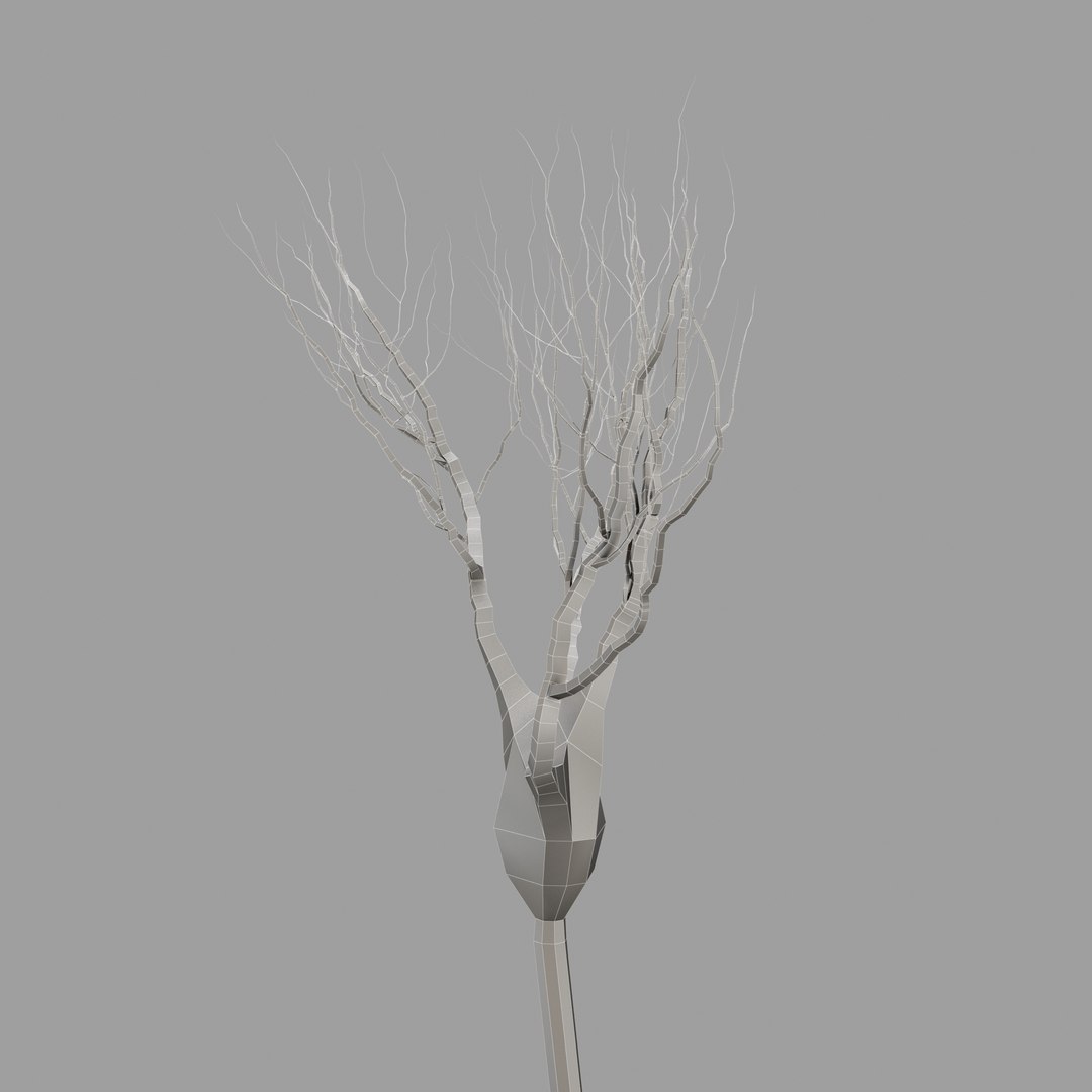 3D Multipolar Interneuron Model - TurboSquid 1160900