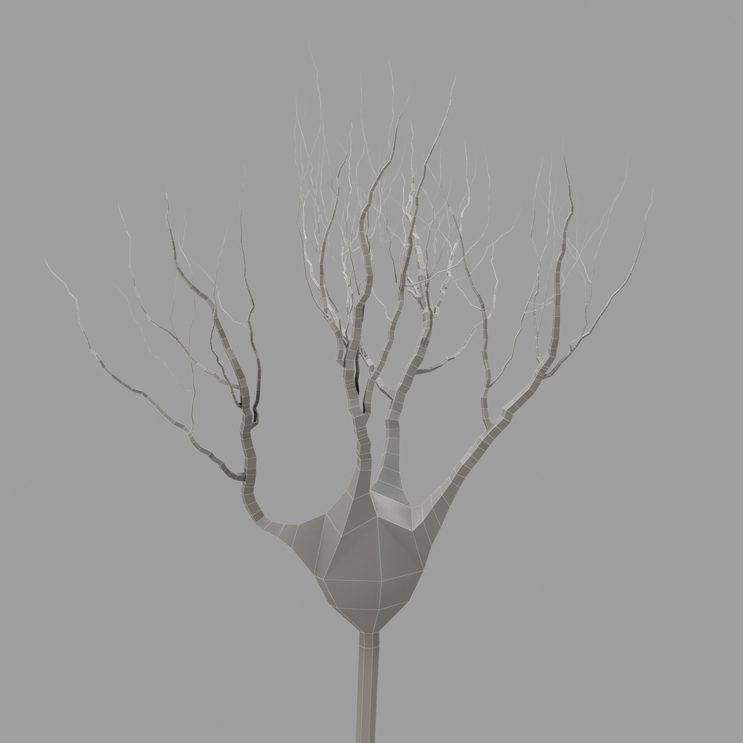 3D Multipolar Interneuron Model - TurboSquid 1160900