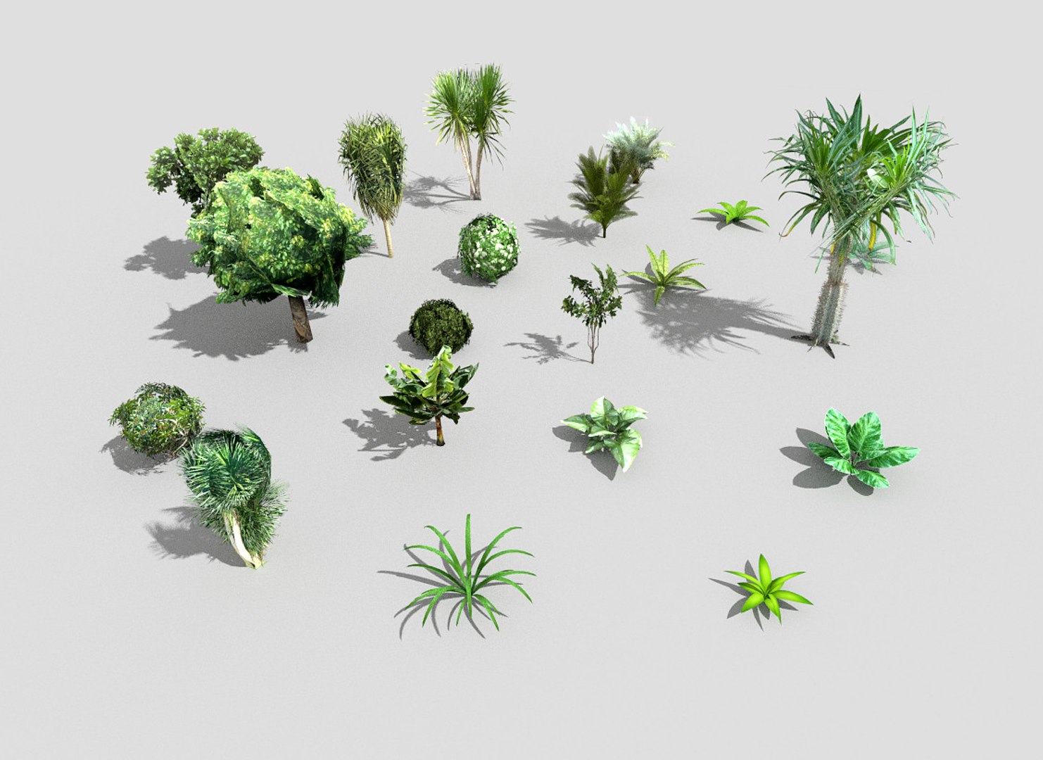 3d Model Plants
