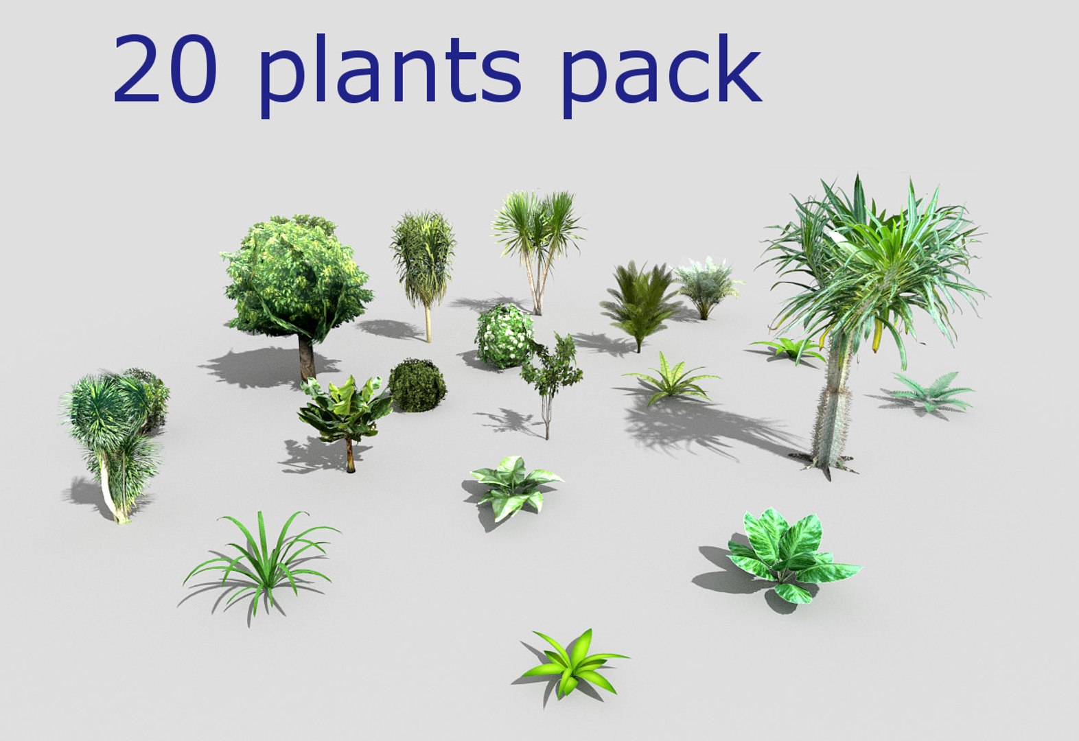 3d Model Plants