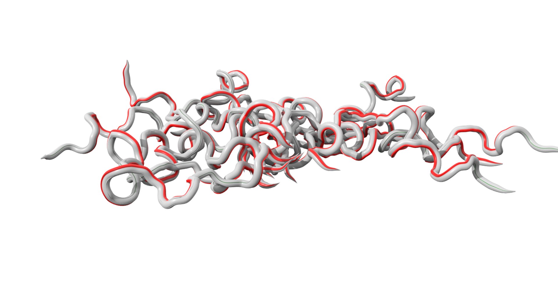 Treponema Pallidum Syphilis Bacteria 3D - TurboSquid 1295685