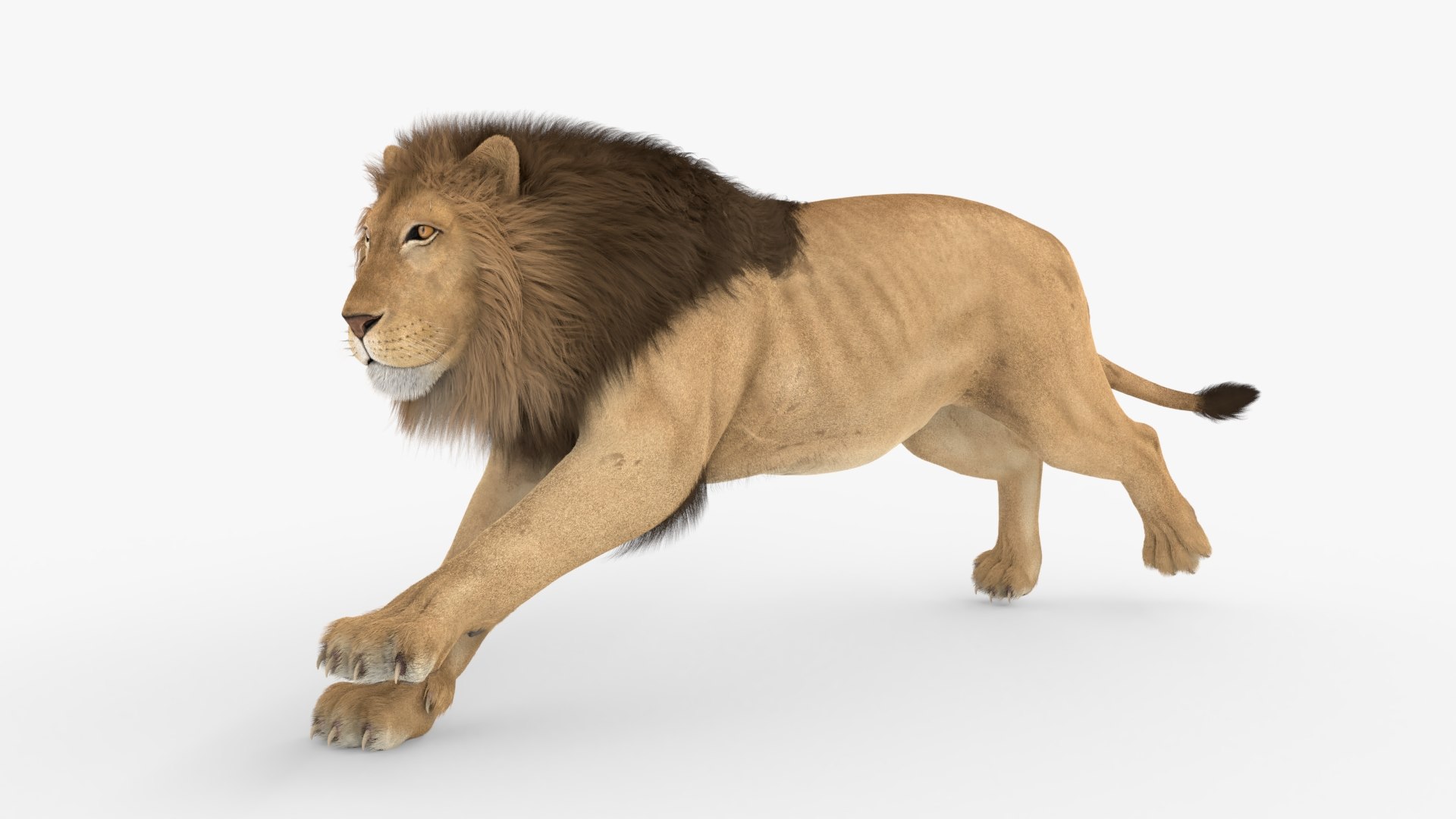 Lion Rigged 3D - TurboSquid 1901060