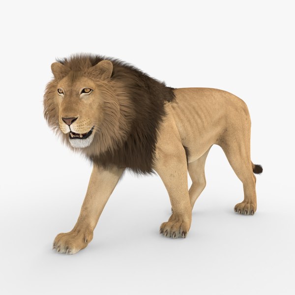 Lion Blender Models for Download | TurboSquid