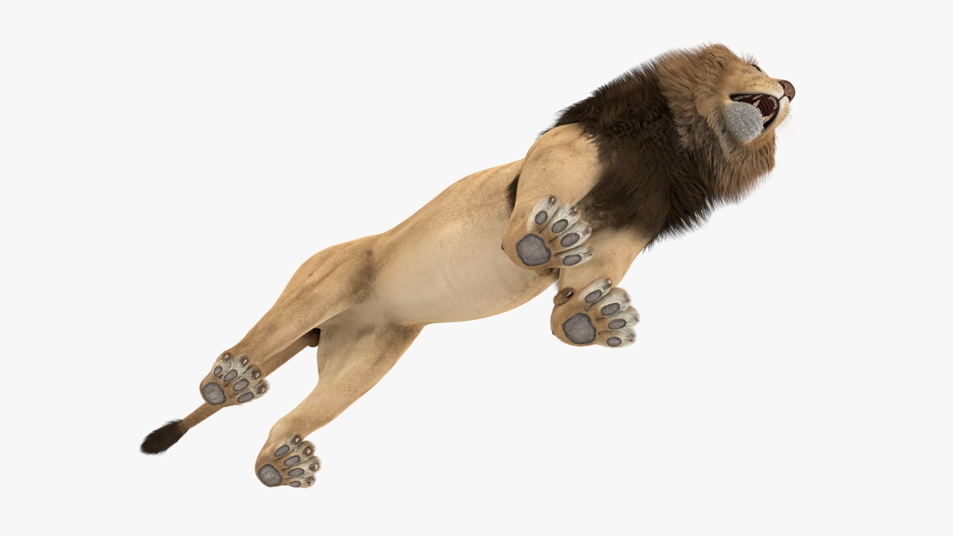 Lion Rigged 3D - TurboSquid 1901060