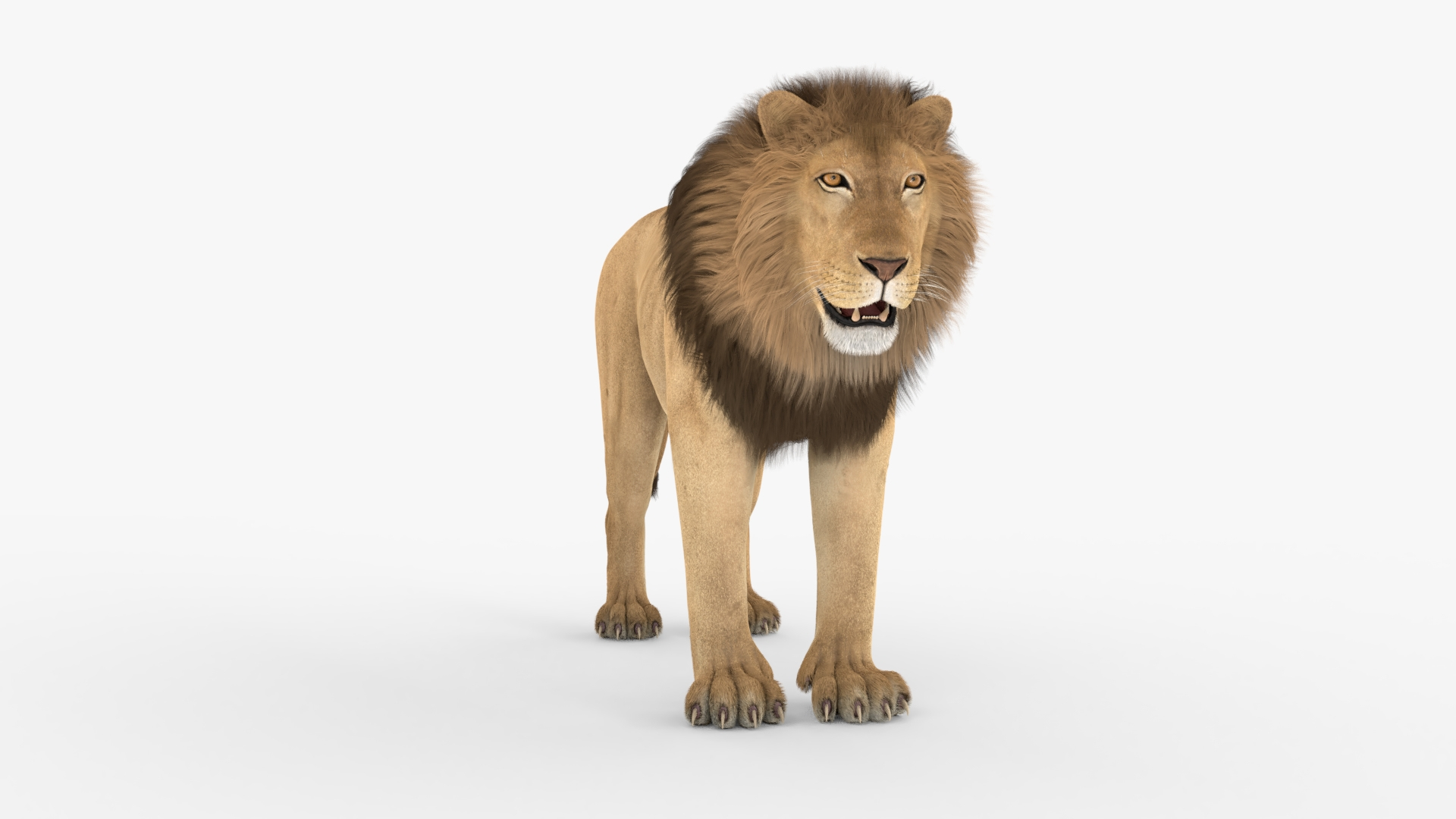 Lion Rigged 3D - TurboSquid 1901060