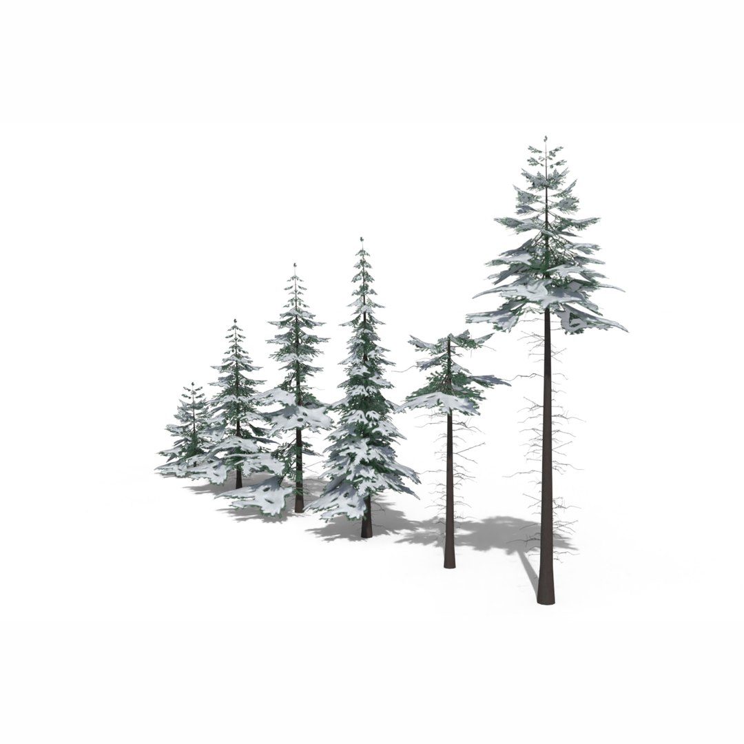 Low Poly Snowy Spruce Tree Pack 3D - TurboSquid 2185527