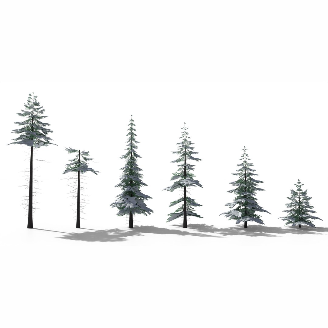 Low Poly Snowy Spruce Tree Pack 3D - TurboSquid 2185527