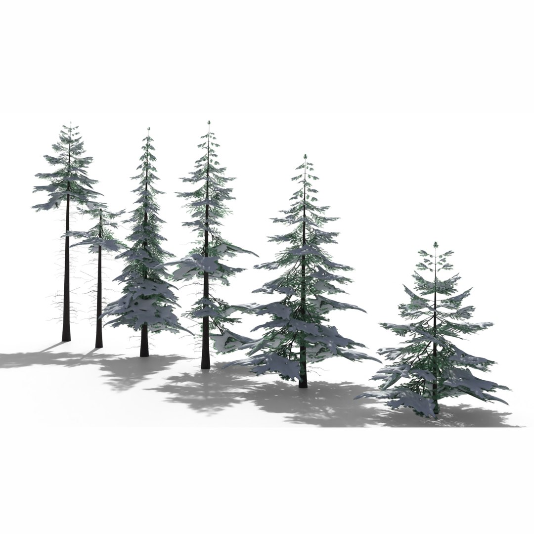 Low Poly Snowy Spruce Tree Pack 3D - TurboSquid 2185527